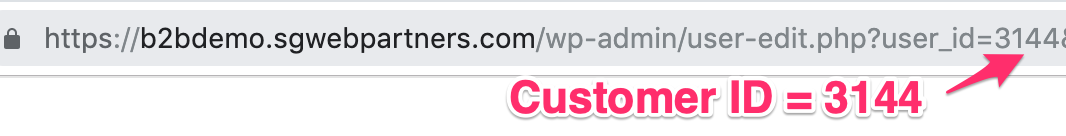 How To Use The WooCommerce API (without knowing how to code!)